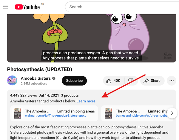 How to Annotate YouTube Videos Like Articles